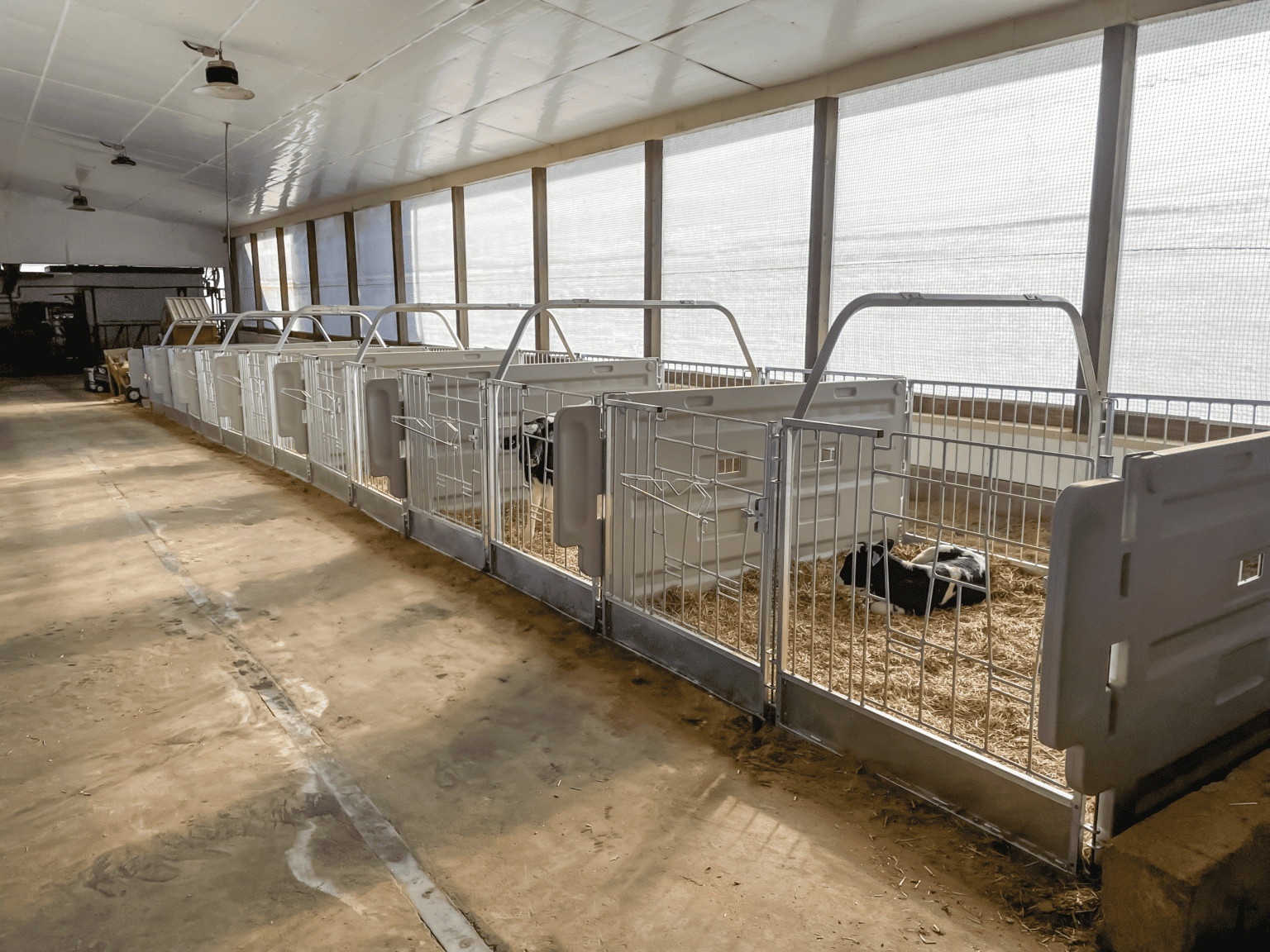 Durable, Long-lasting Calf Pens with Great Air Circulation