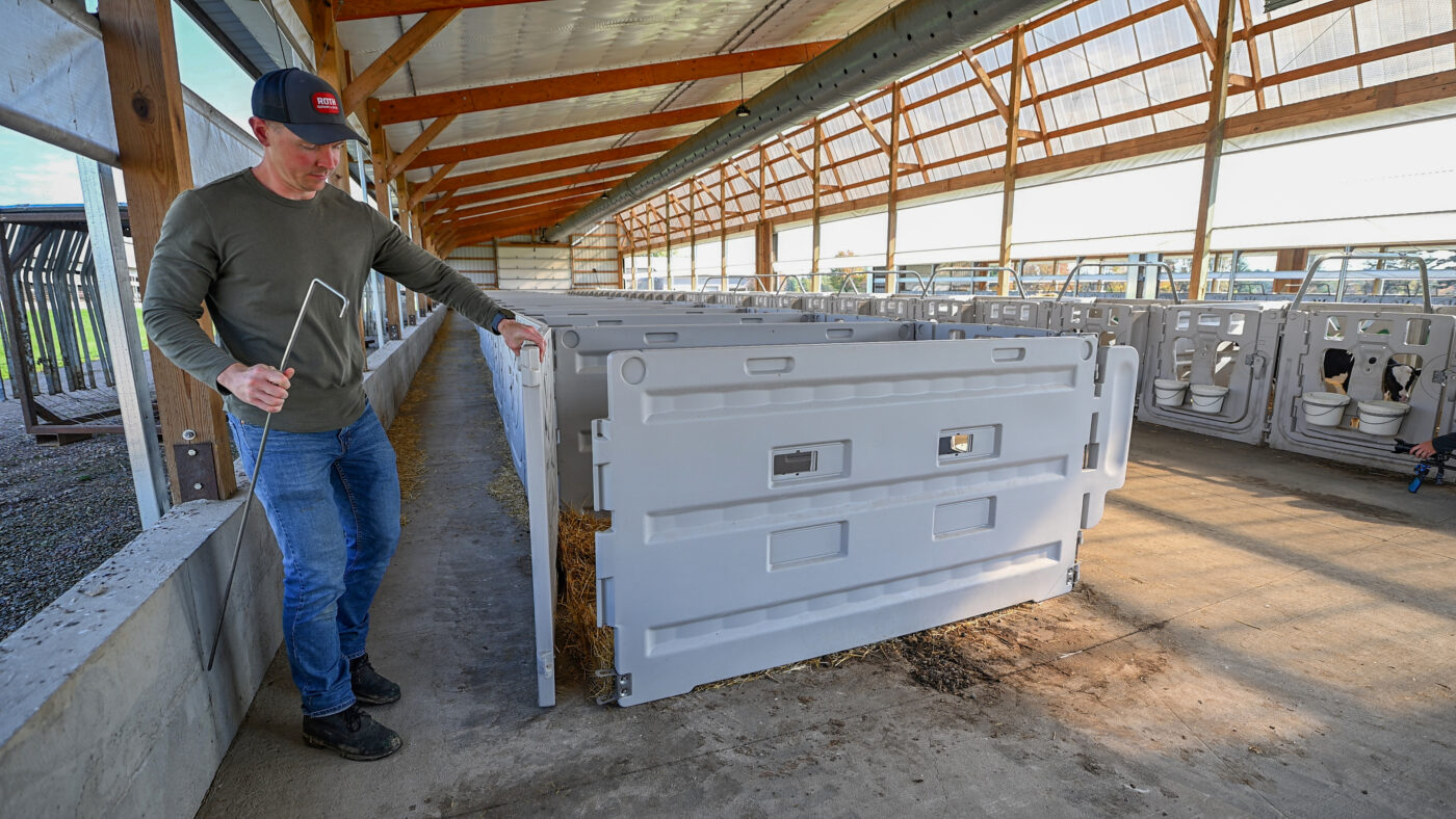 Calf Pens for Sale—Group Calves Individually or Together